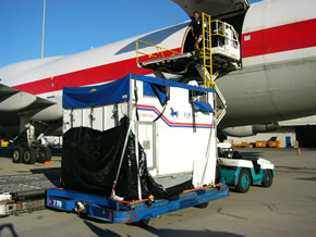 Equine Airfreight Systems - Airline Horse Transport & Professional ...